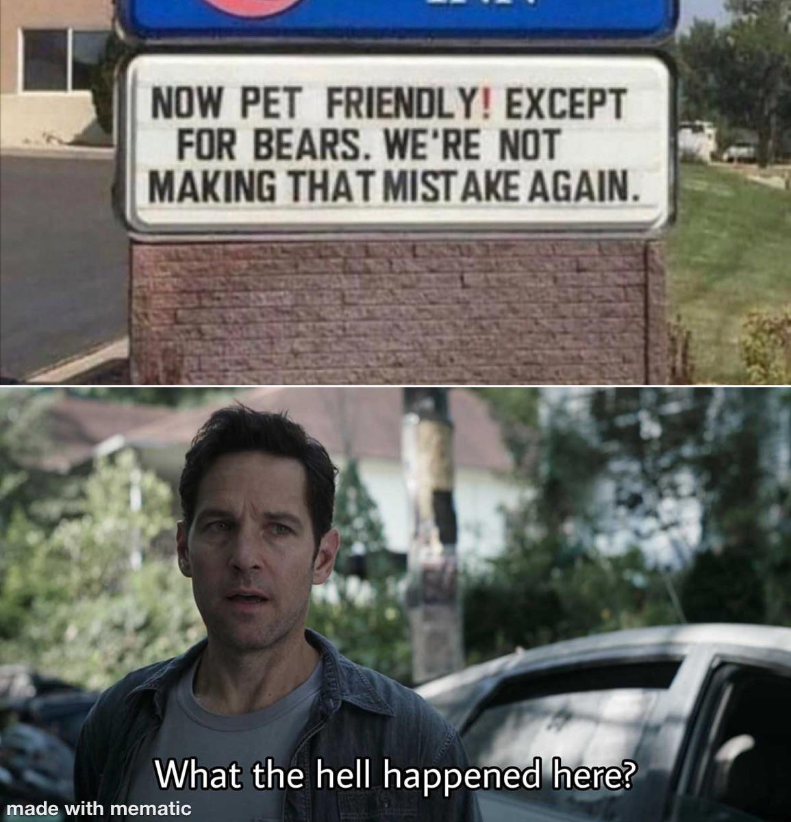 poor bears | Scrolller