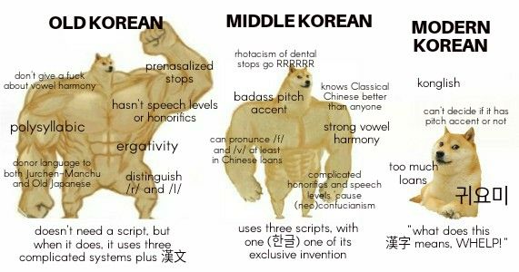 Poor cheems Modern Korean... | Scrolller