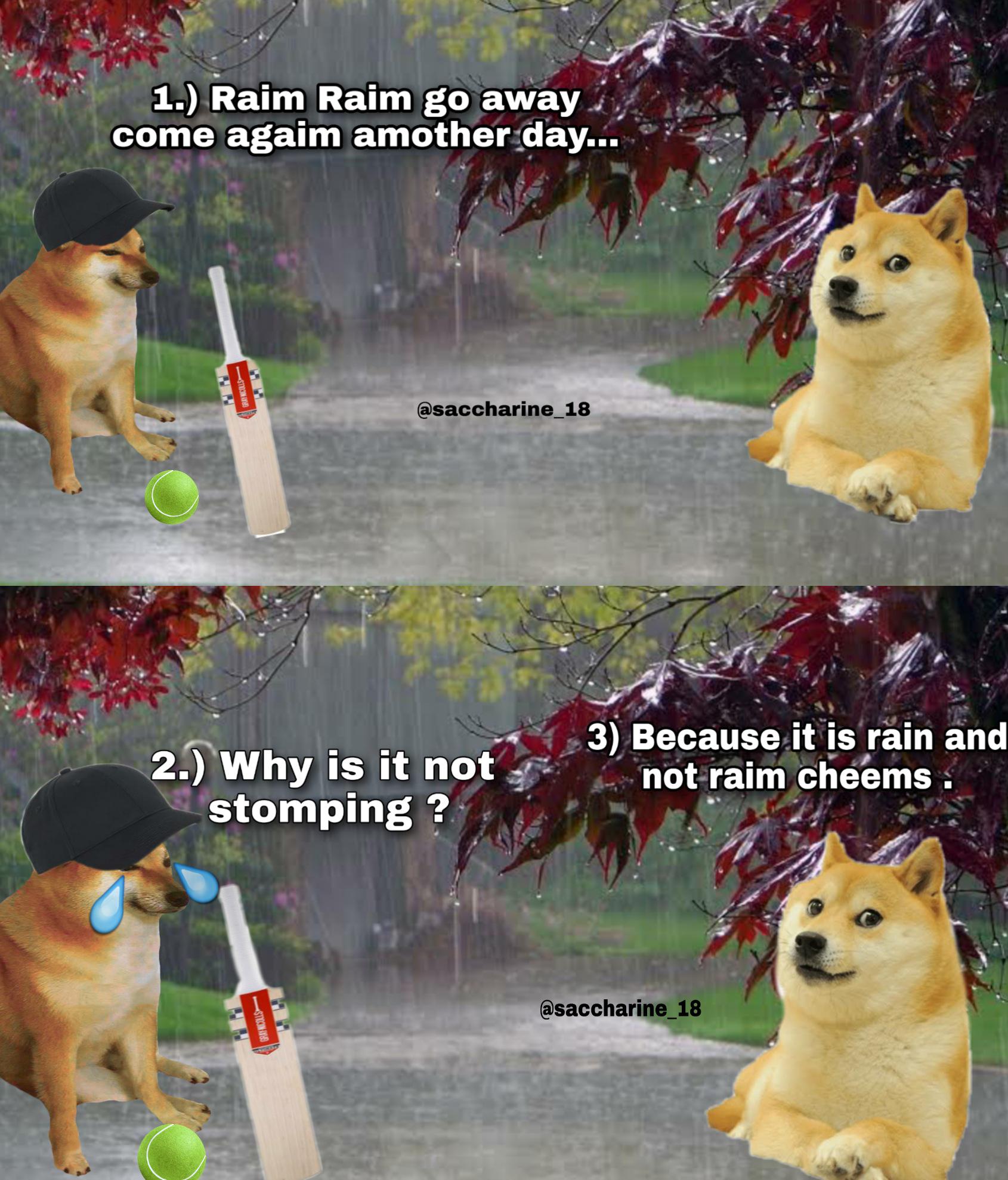 Poor cheems want's to play. | Scrolller