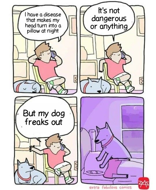 Poor doggo | Scrolller