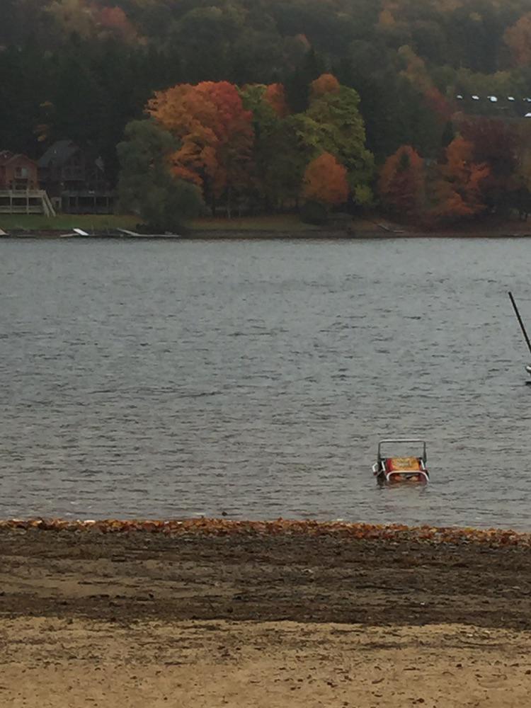 Poor fella is too far gone to help | Scrolller