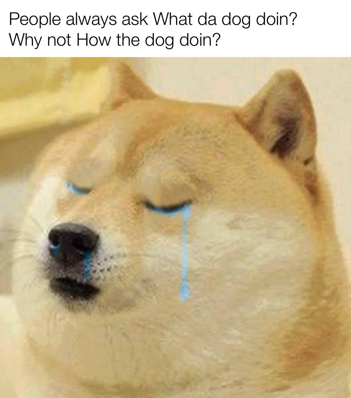 poor guy | Scrolller