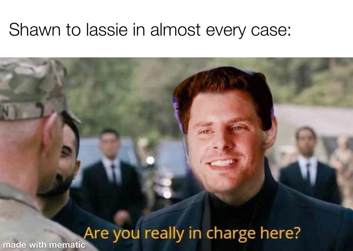 Poor Lassie | Scrolller