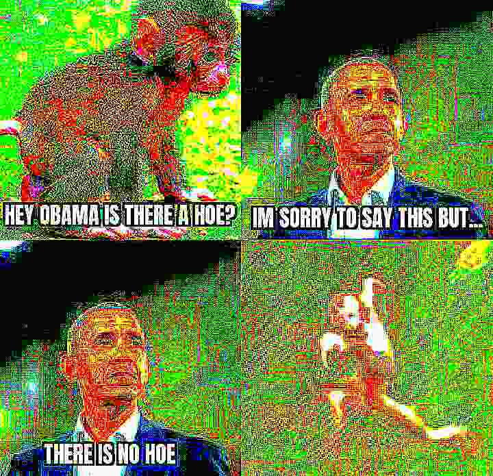 Poor monkey | Scrolller