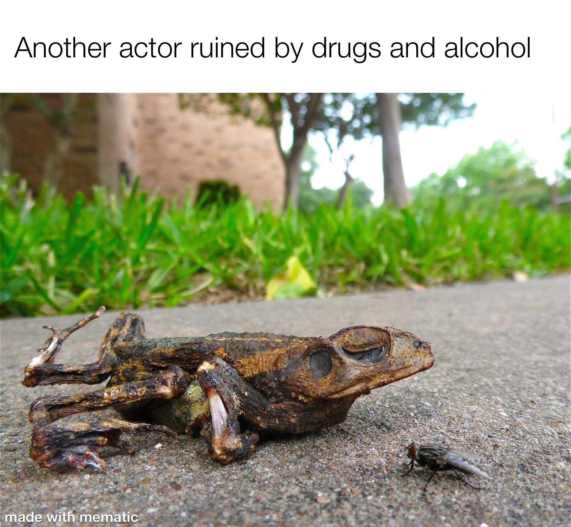 Poor Wednesday frog | Scrolller