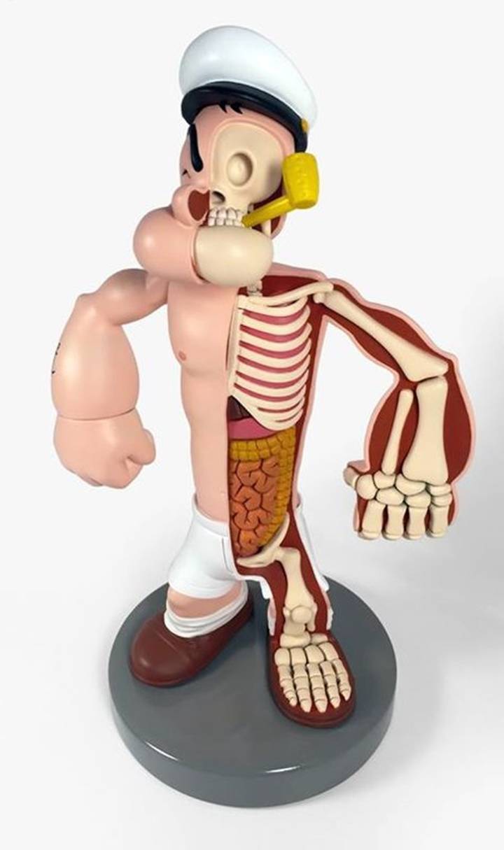 Popeye demystified, by Jason Freeny [720x1215] | Scrolller