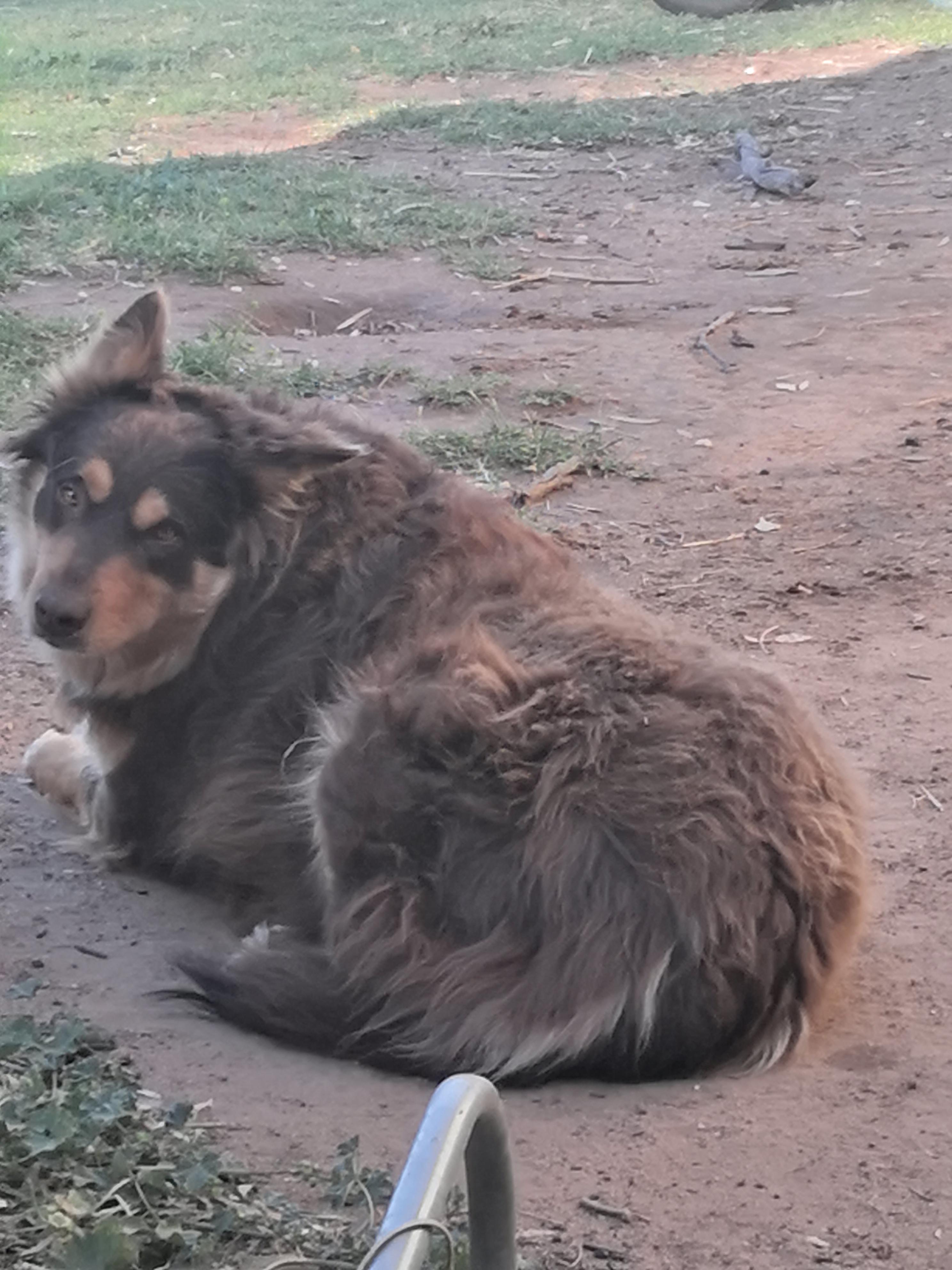 Posing for the camera | Scrolller