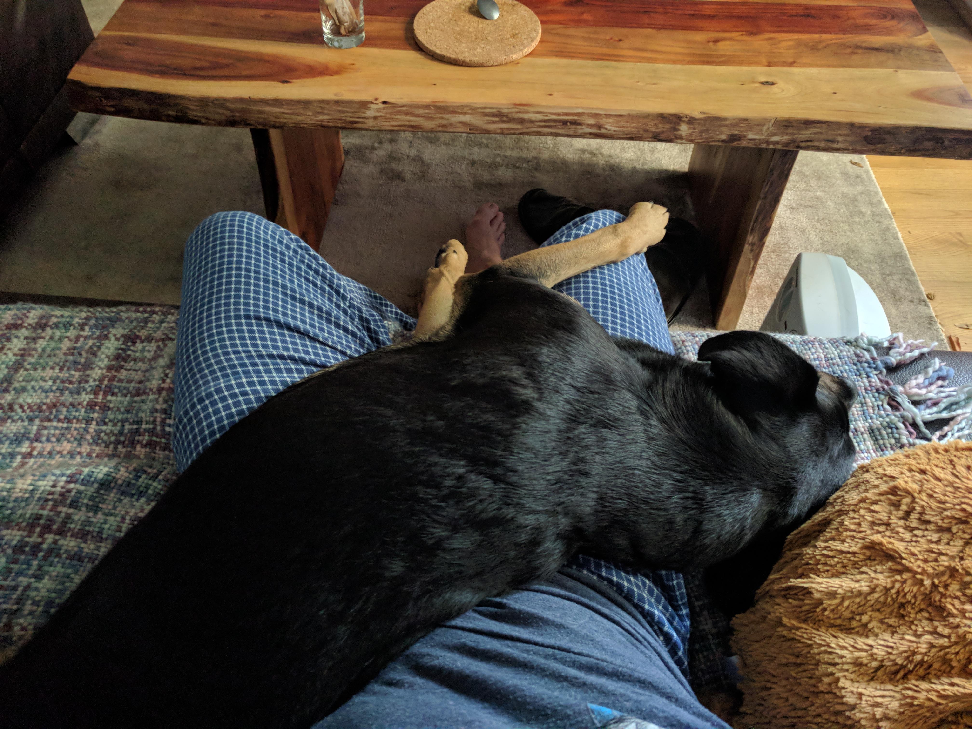 Post breakfast nap | Scrolller