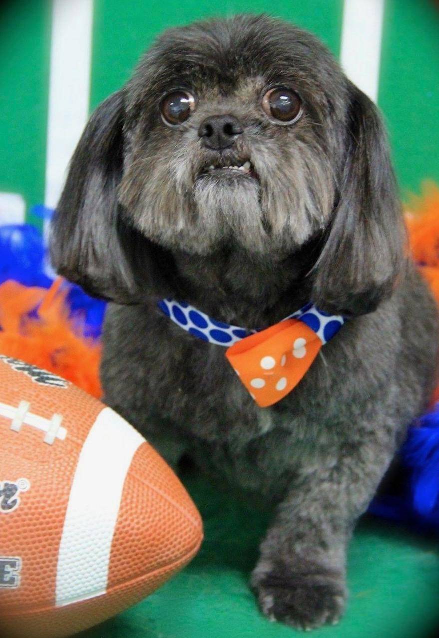 Post Haircut Glamour Shot | Scrolller