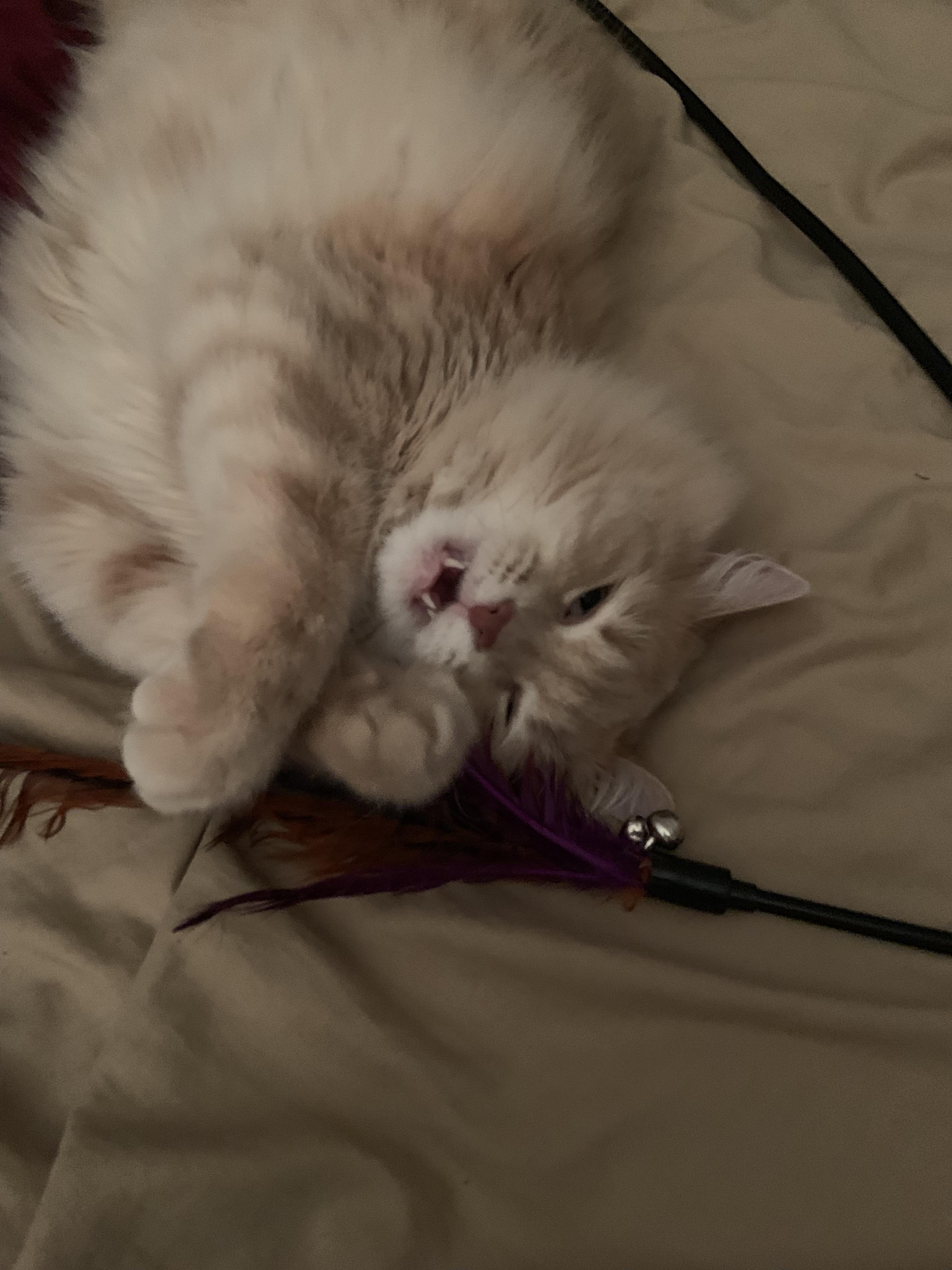 post-playtime scrunge | Scrolller