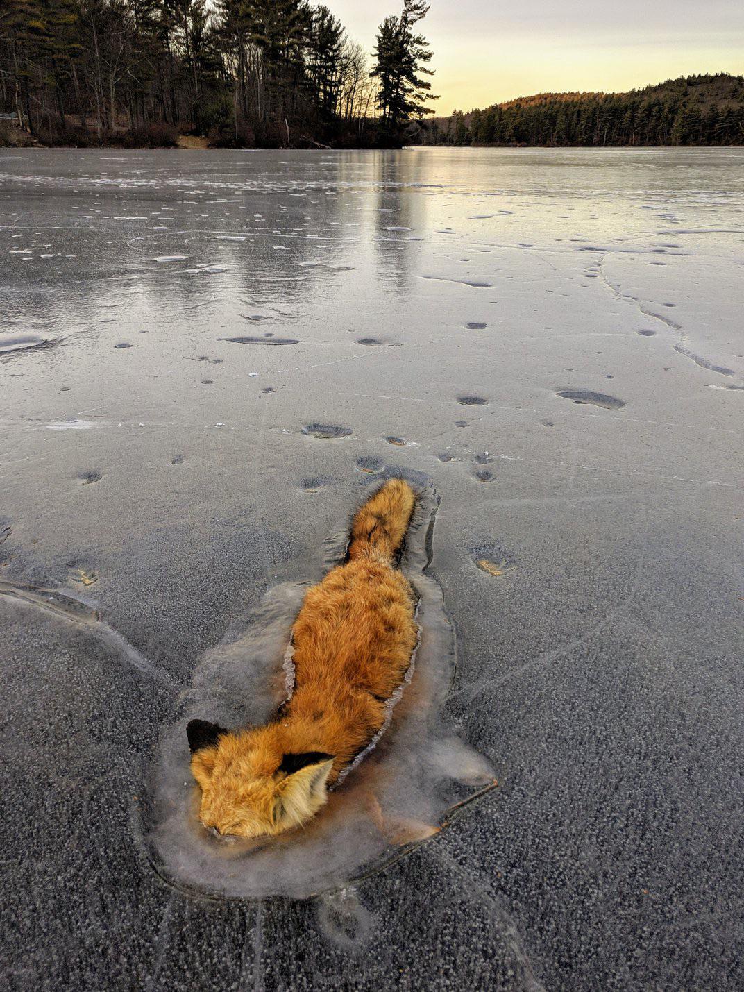 Post title (required) | Scrolller