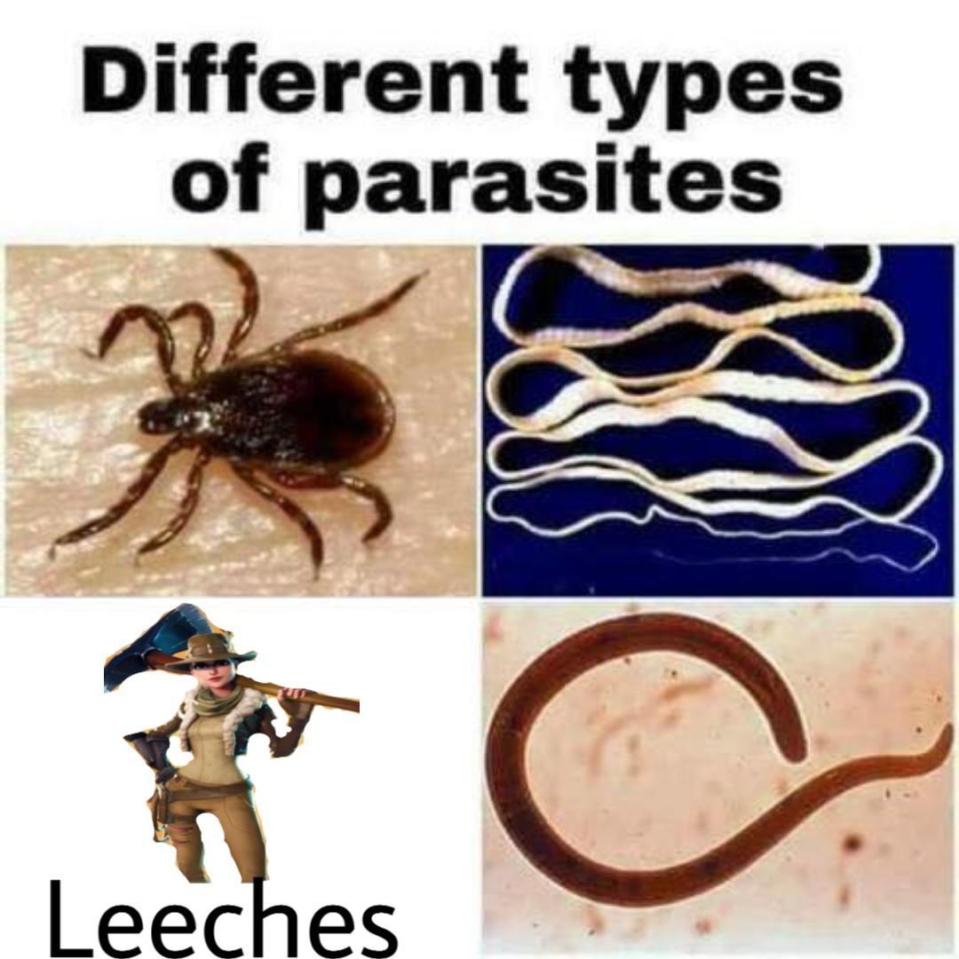 Posting a second meme today because the last one was kinda cringe | Scrolller