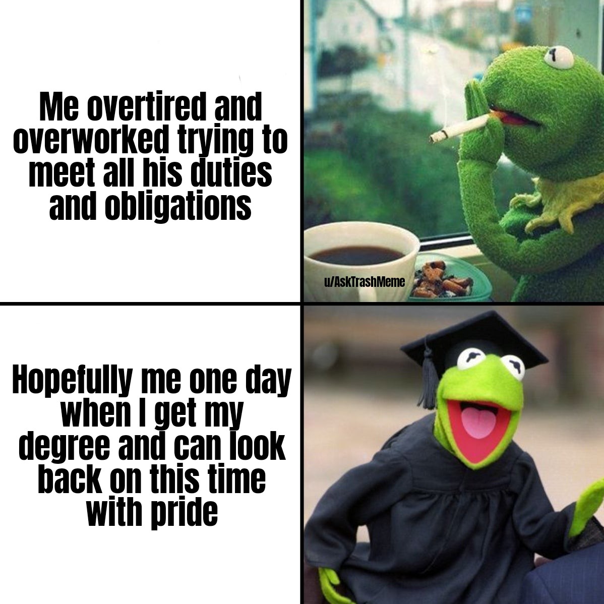 Posting memes until I get my master's degree day 316 meme 518 | Scrolller