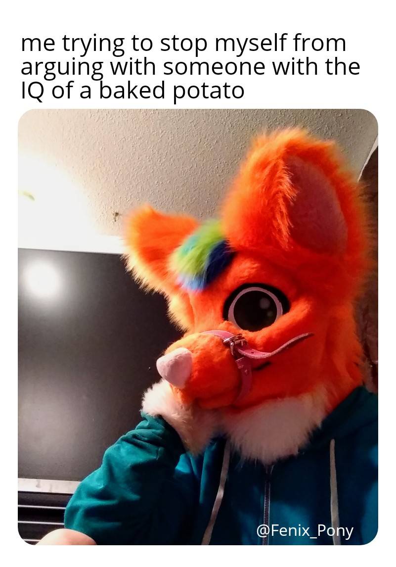 Potato_Irl | Scrolller