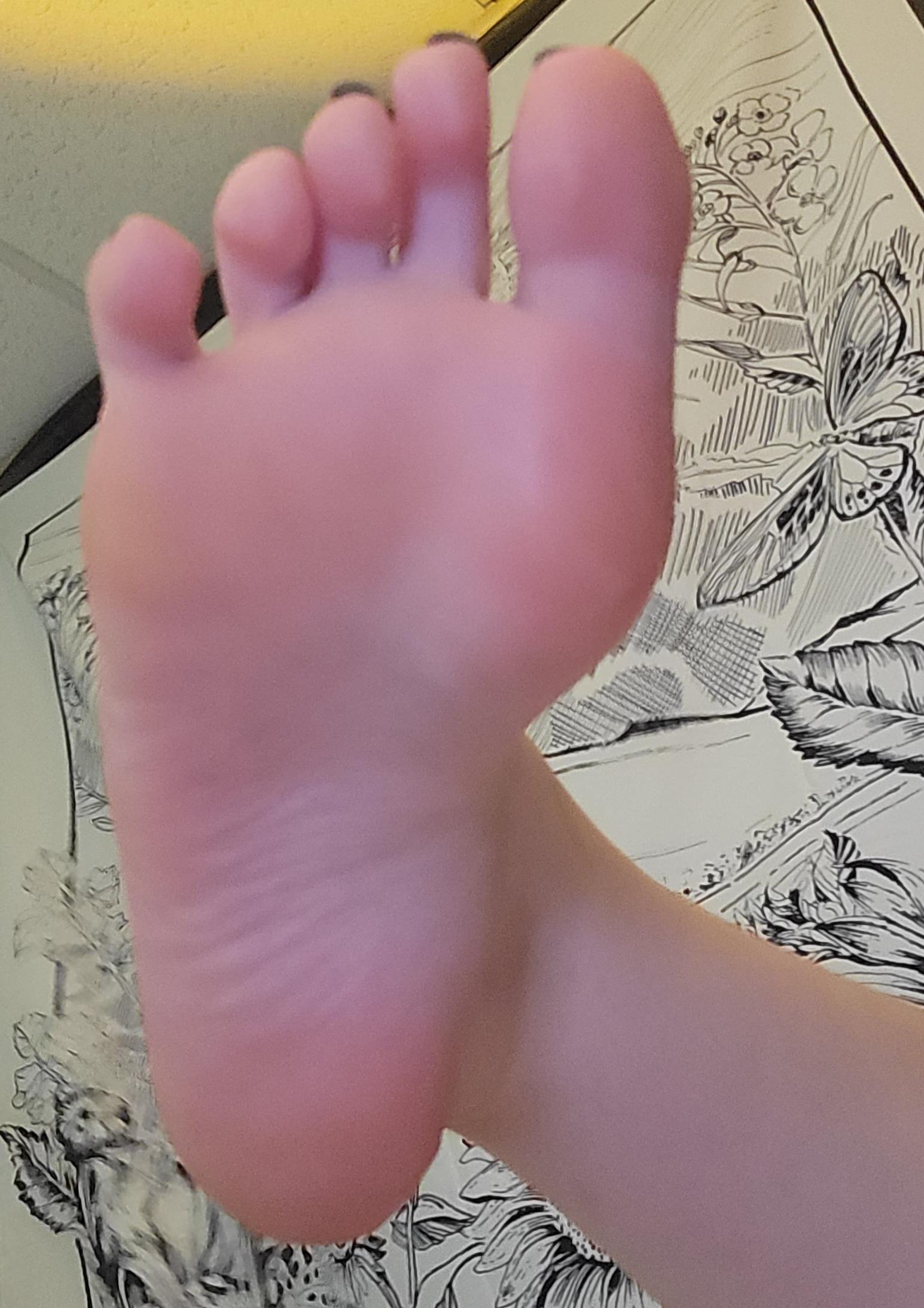 POV: You are an ant | Scrolller