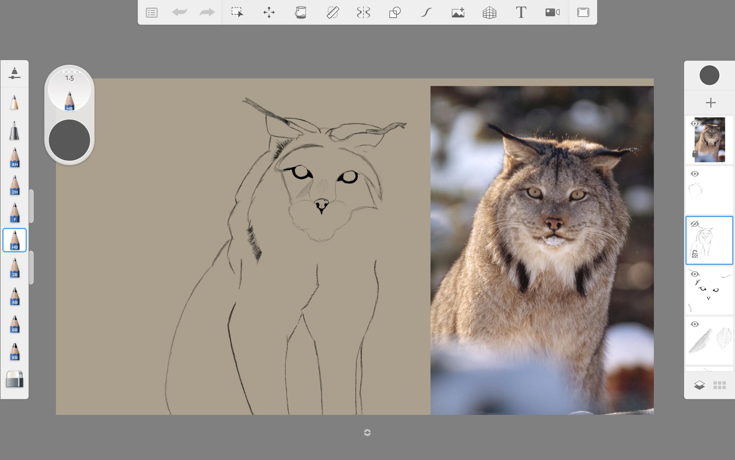 Practice Scrolller