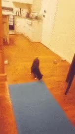 Pranked with a yoga mat | Scrolller