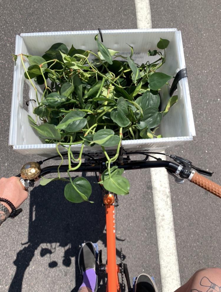 Precious cargo | Scrolller