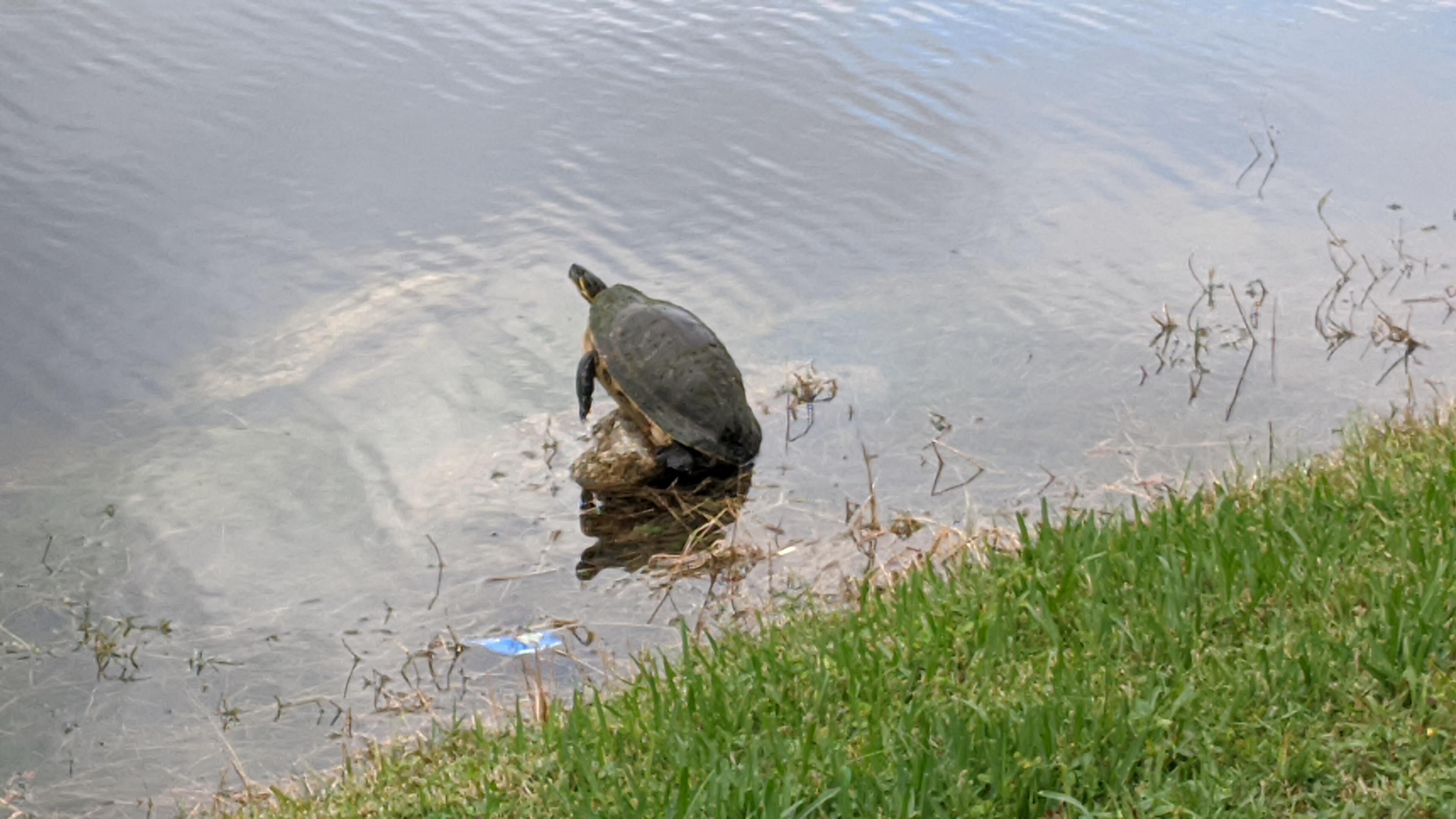 Preparing for takeoff | Scrolller