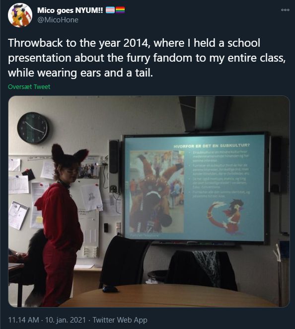 Presentation_irl | Scrolller