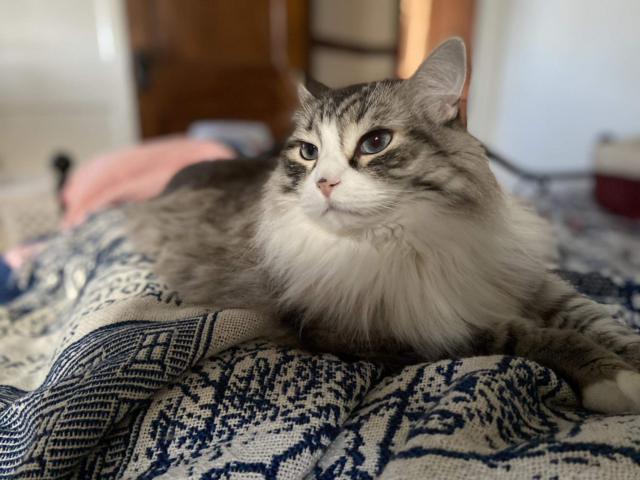 Pretty boy! | Scrolller