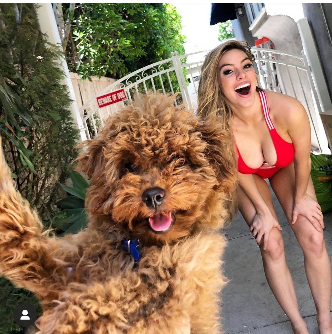 Pretty little puppy | Scrolller