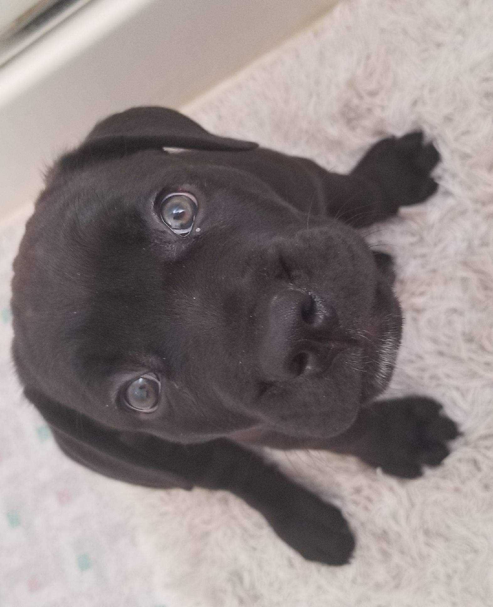 Pretty little Rascal | Scrolller