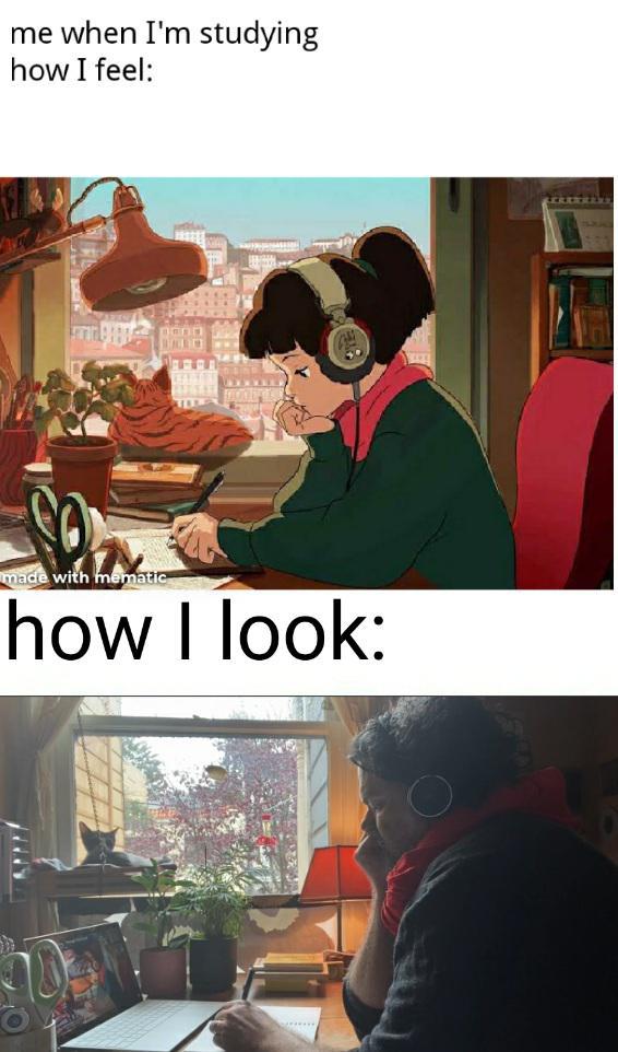 Pretty much | Scrolller