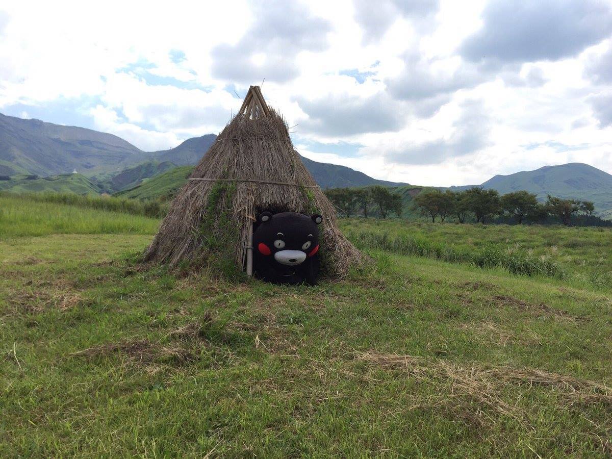 Primitive Technology: Grass Hut | Scrolller