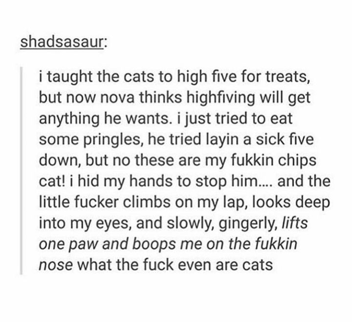 They're learning | Scrolller