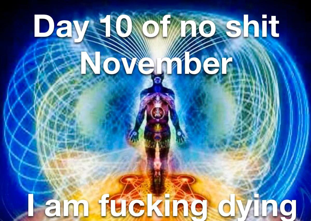 Professional shit post | Scrolller