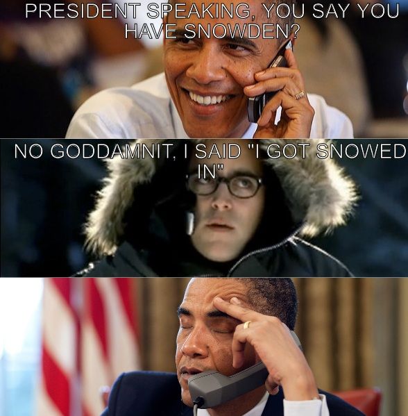 Promising leads! | Scrolller