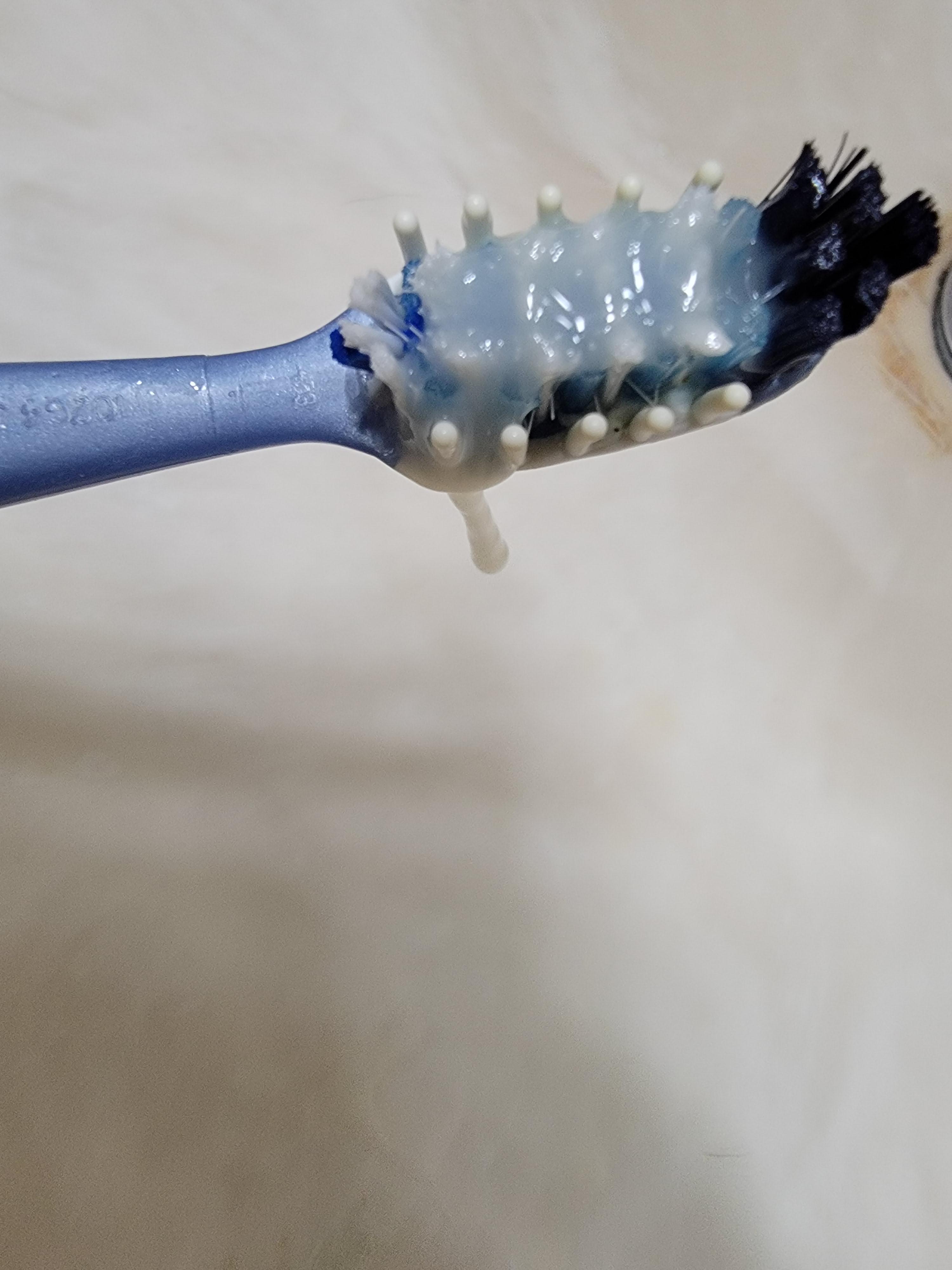 [Proof] Cum on someone's toothbrush | Scrolller