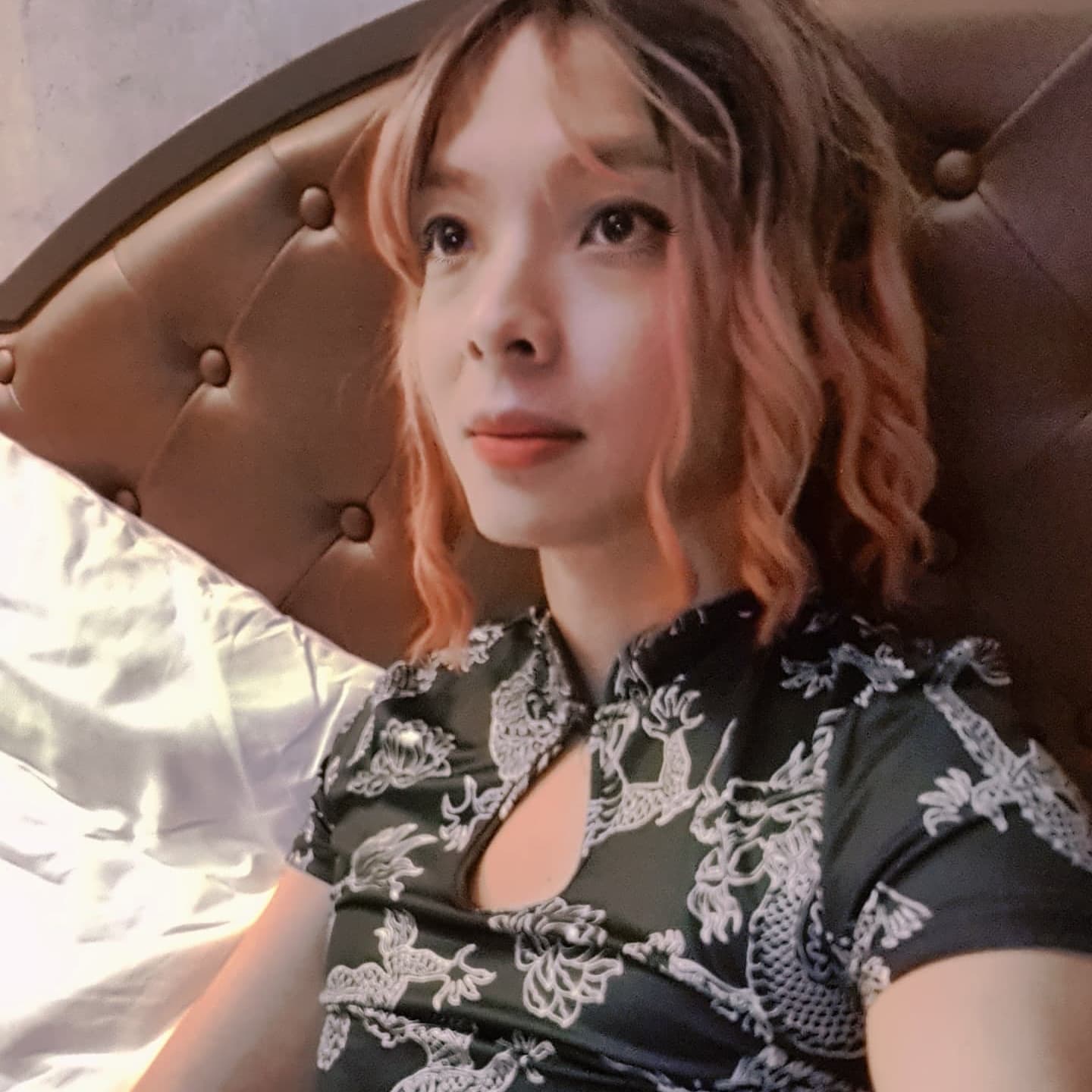 Protector dragon protec | Scrolller