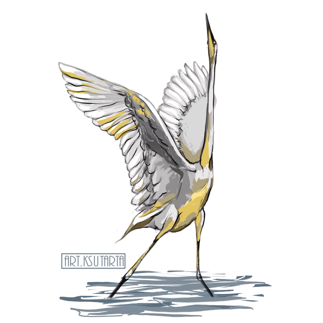 Proud bird | Scrolller