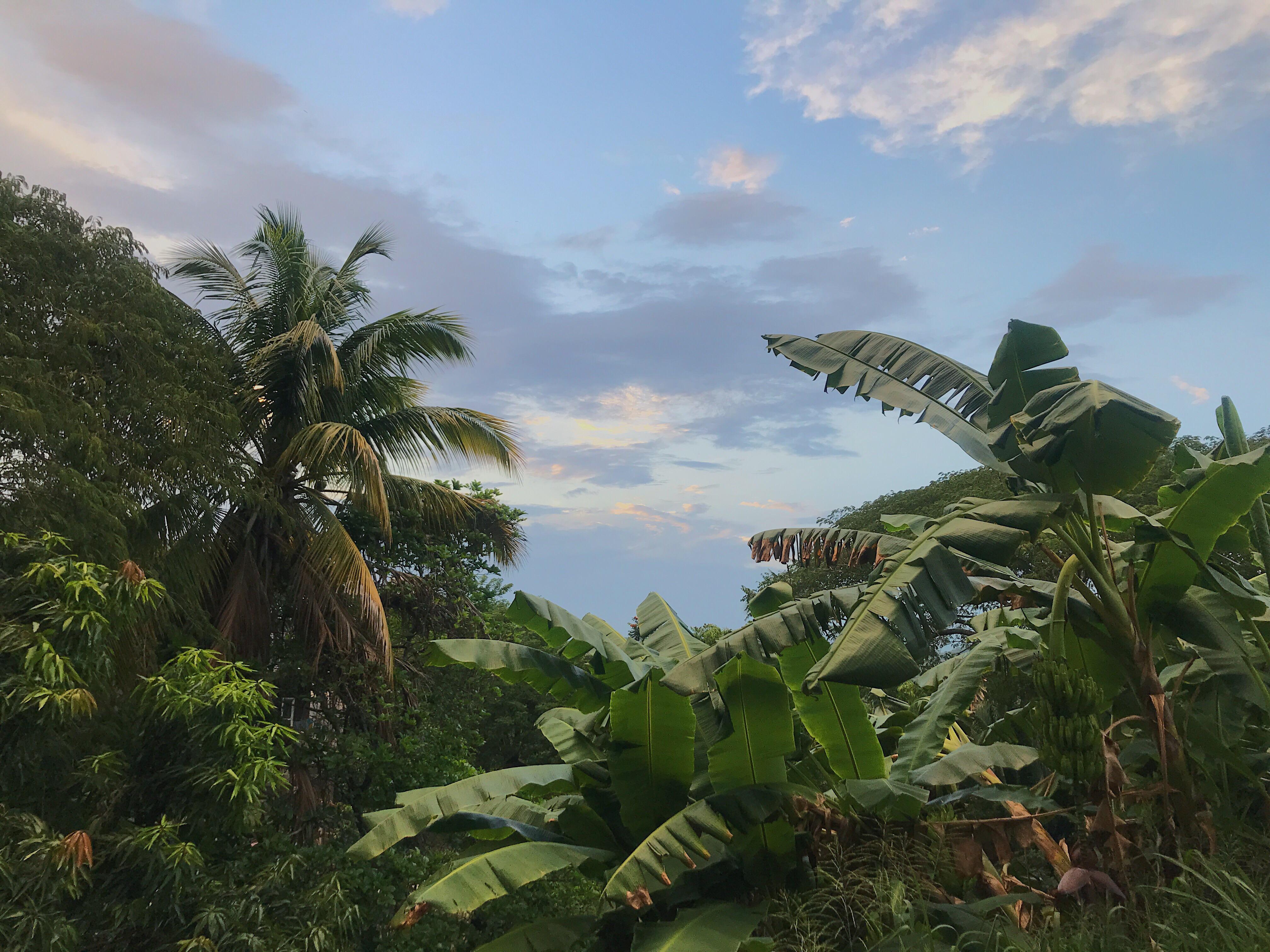 Puerto Escondido, Oaxaca | Scrolller