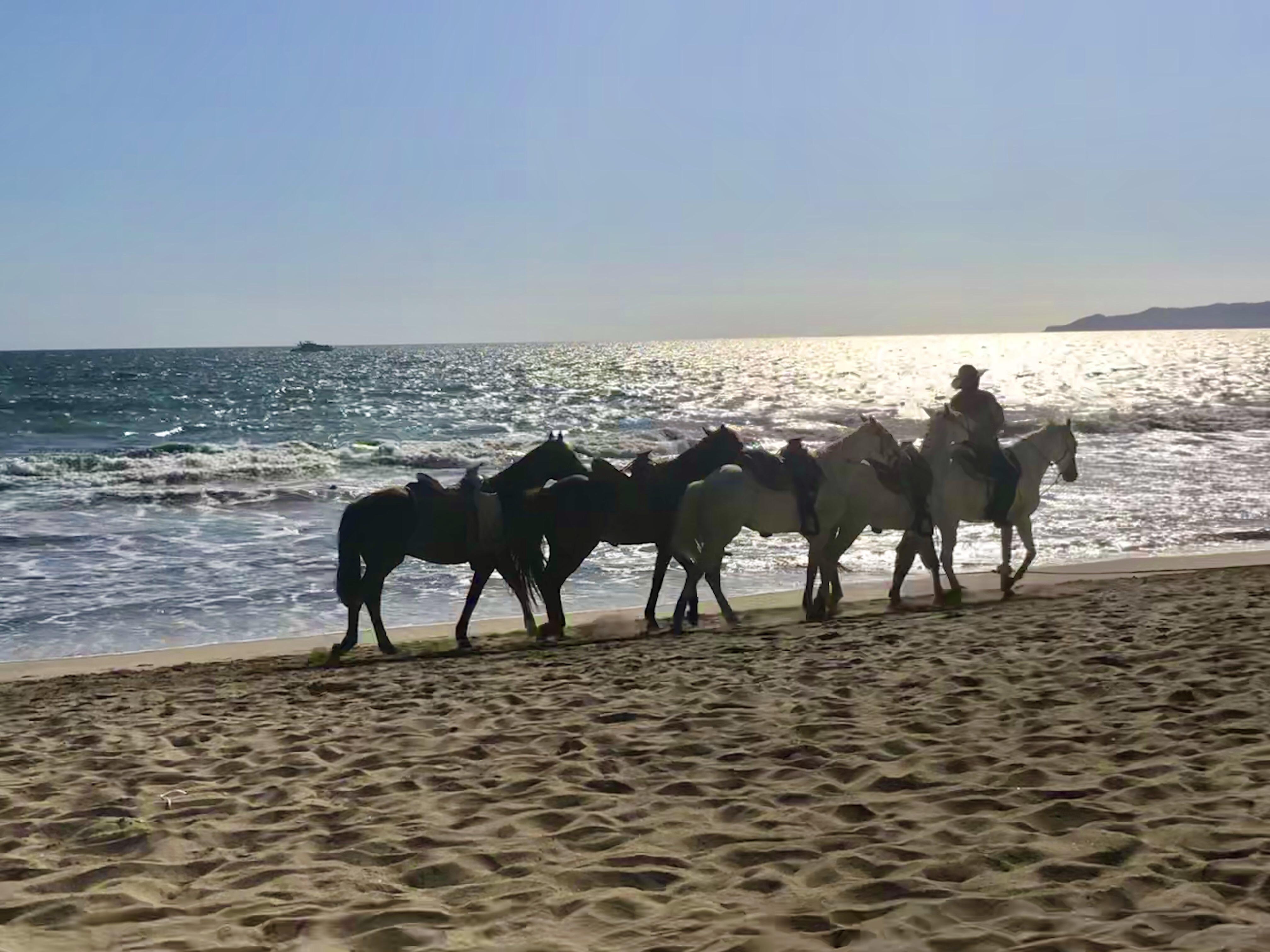 Discover more like Beachporn: Puerto Vallarta, MX and Related Content | Scrolller