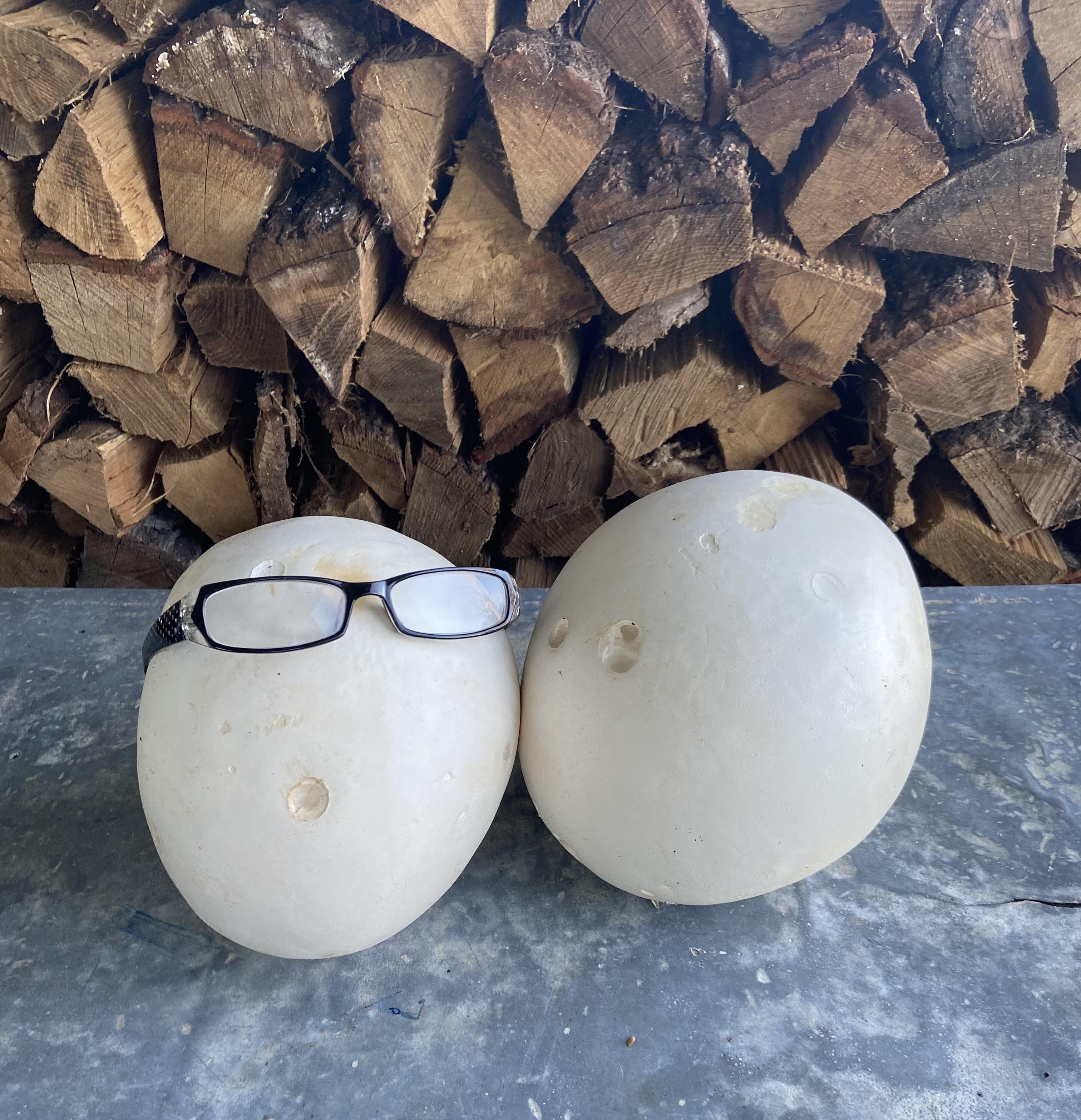 Puffballs! | Scrolller