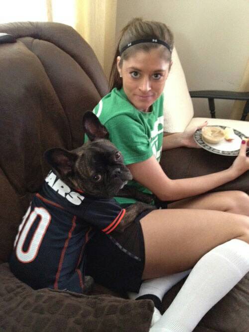 Pug Life Scrolller