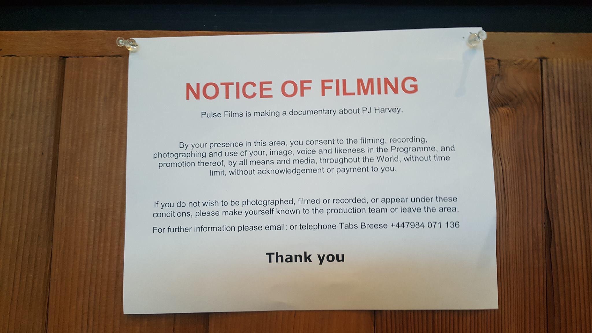 Pulse Films is making a documentary about PJ Harvey! | Scrolller