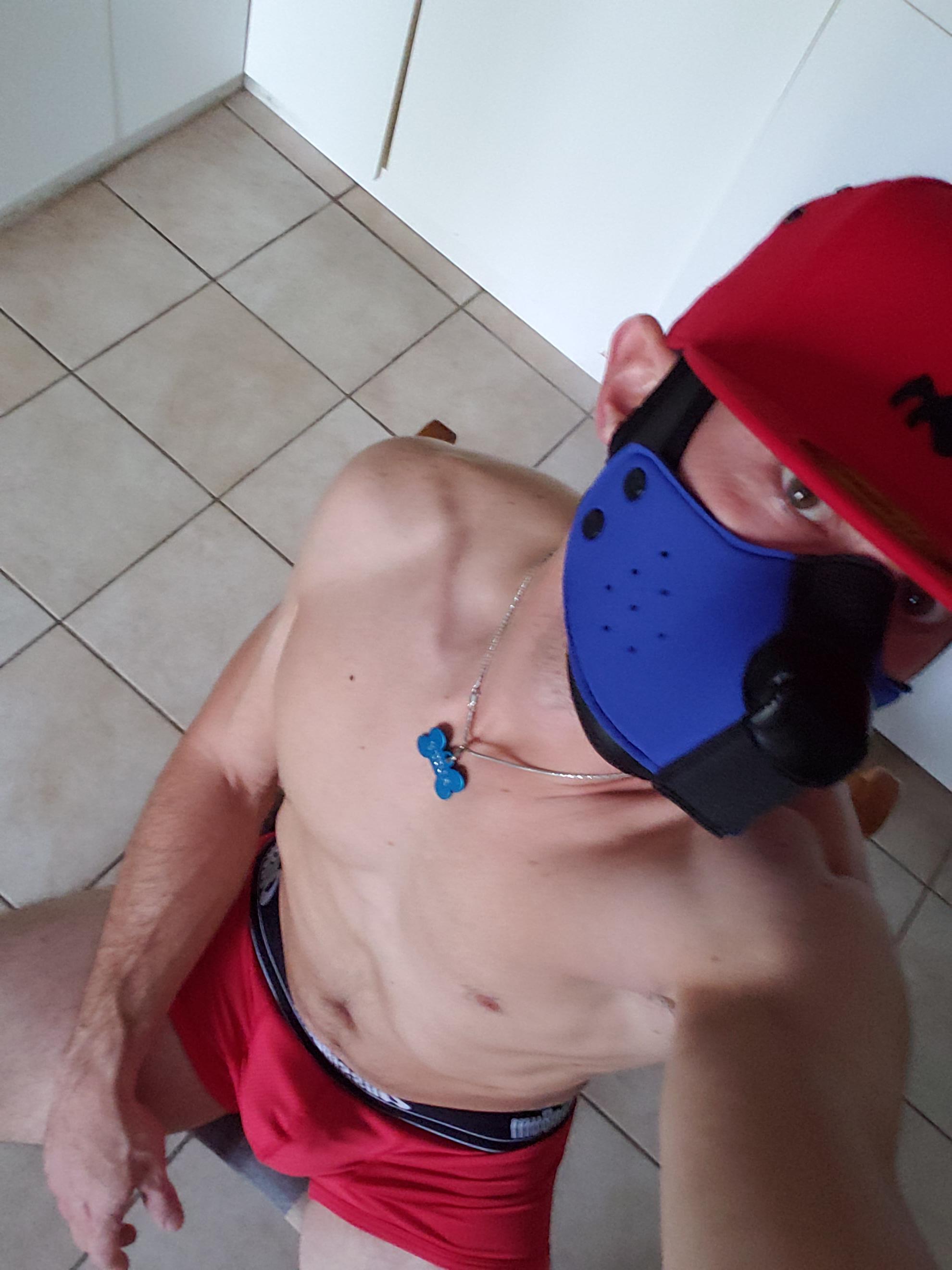 Pup morning pose Arwoo | Scrolller