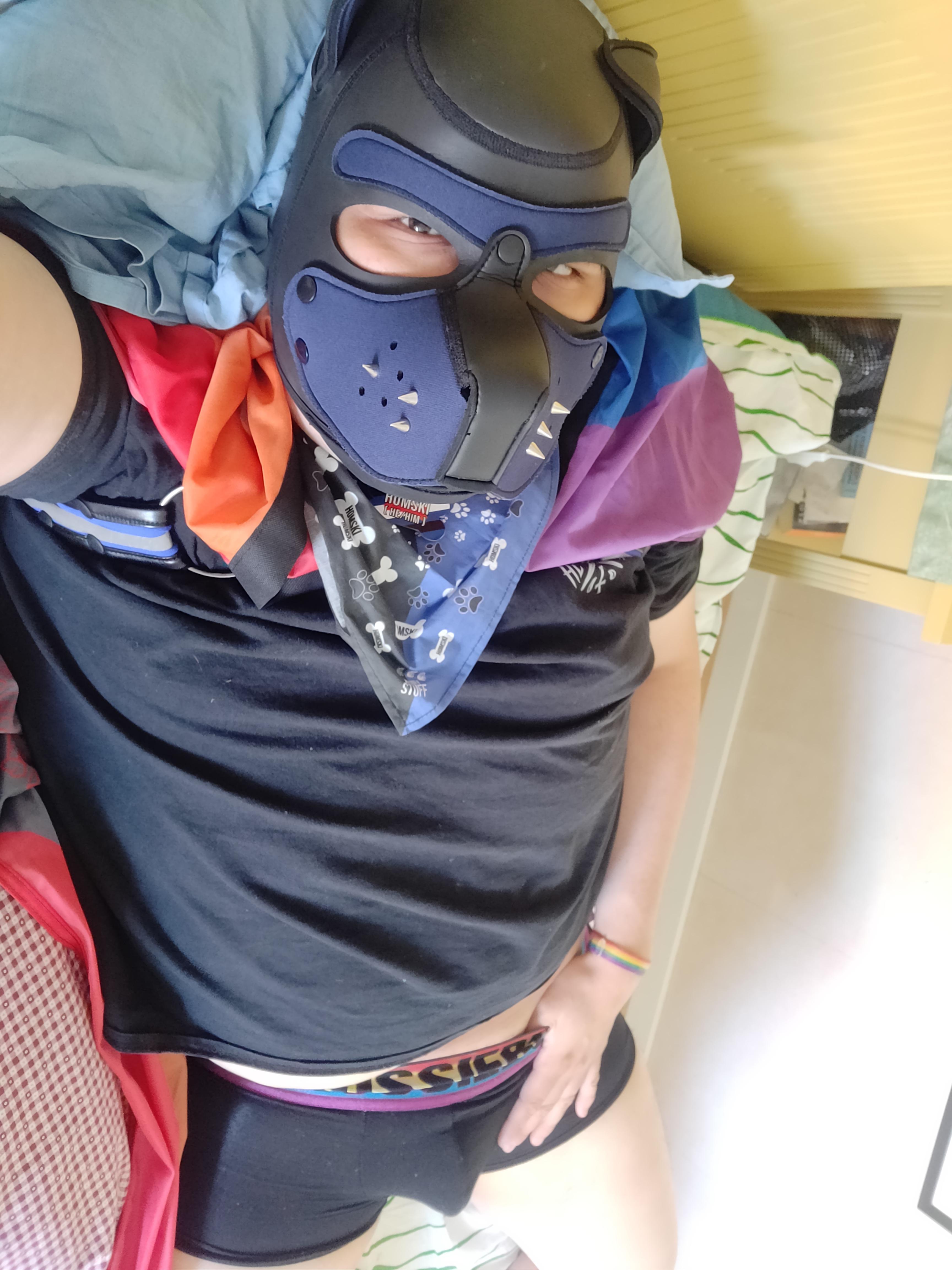 Puppy pride! Awruff! | Scrolller