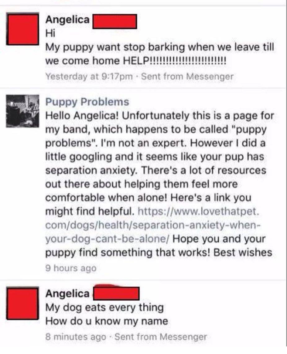 Puppy Problems | Scrolller