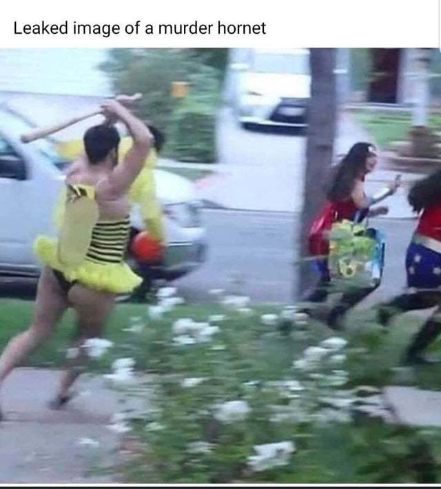 Pure Horror | Scrolller