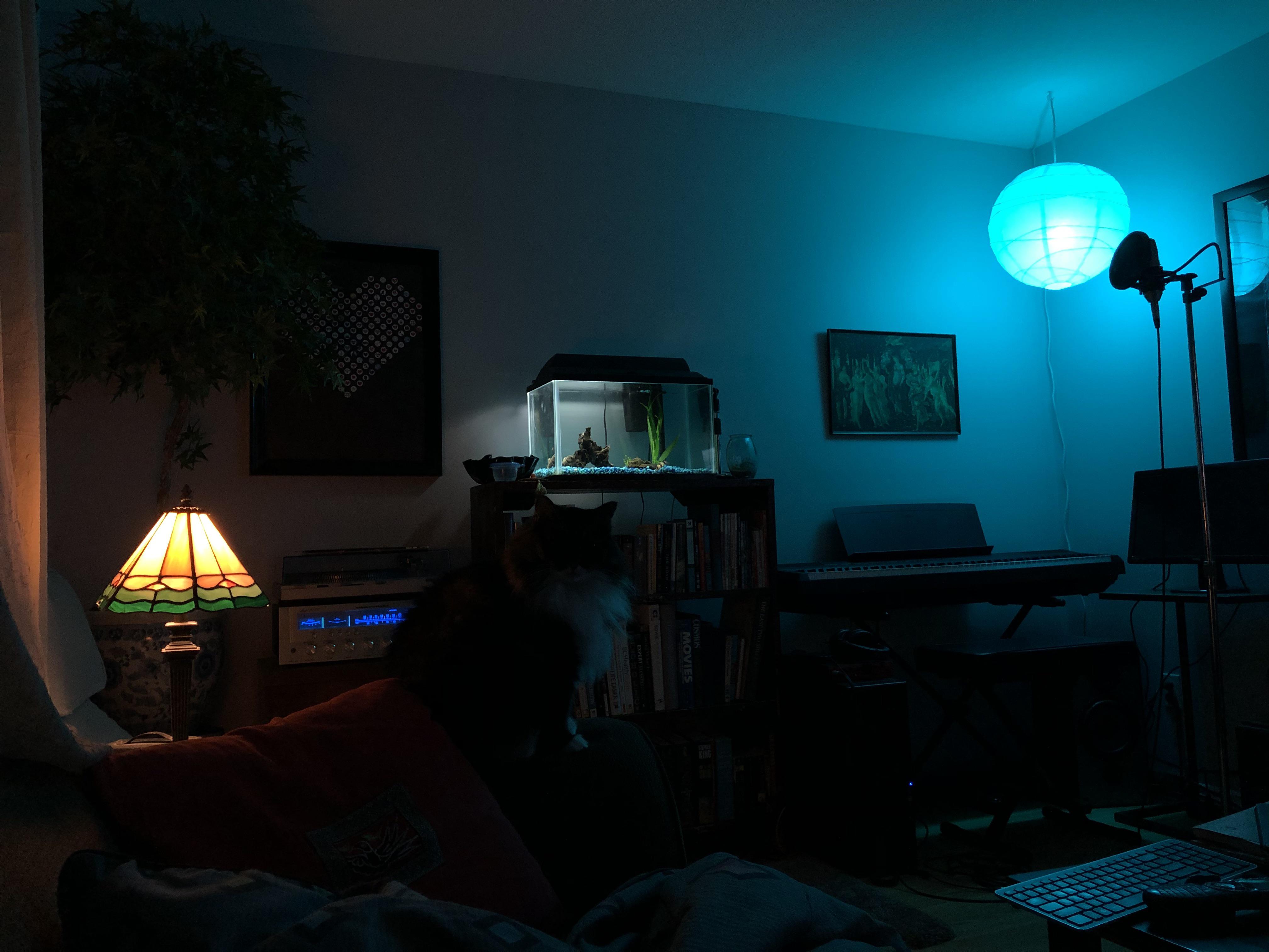 Pure zen. | Scrolller