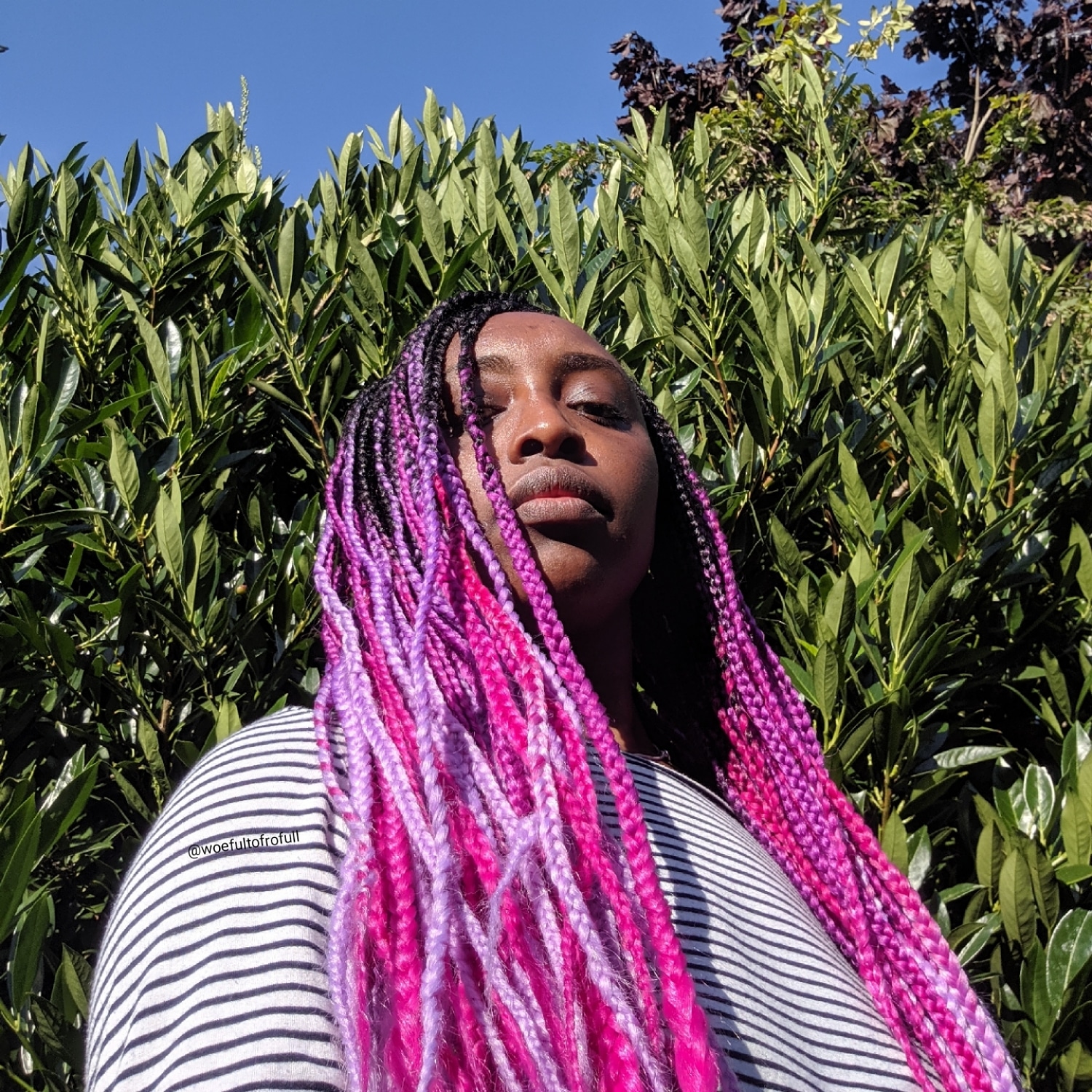 Purple Braids | Scrolller