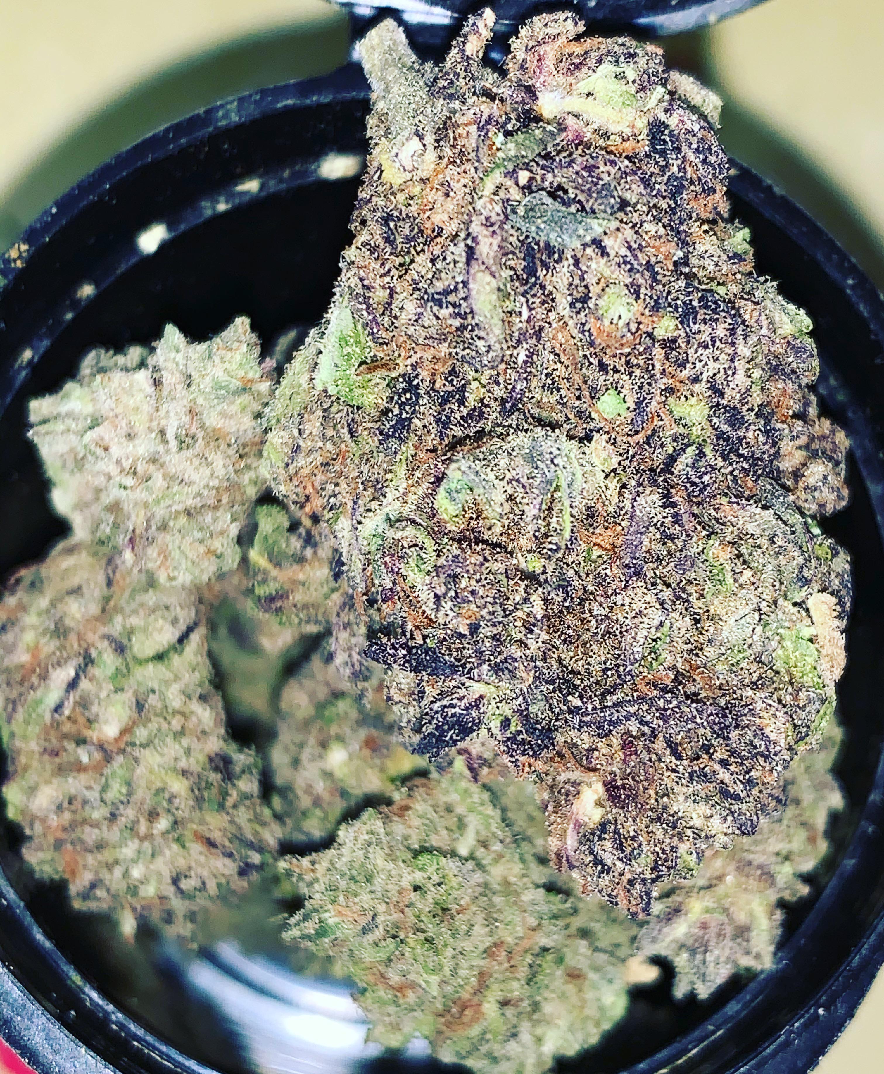 Purple Punch! | Scrolller