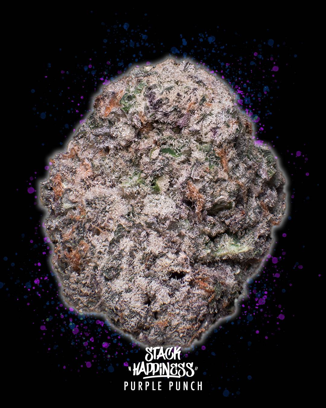 Purple Punch (Homegrow Cup 2020 Entry by Alto Jardin) | Scrolller