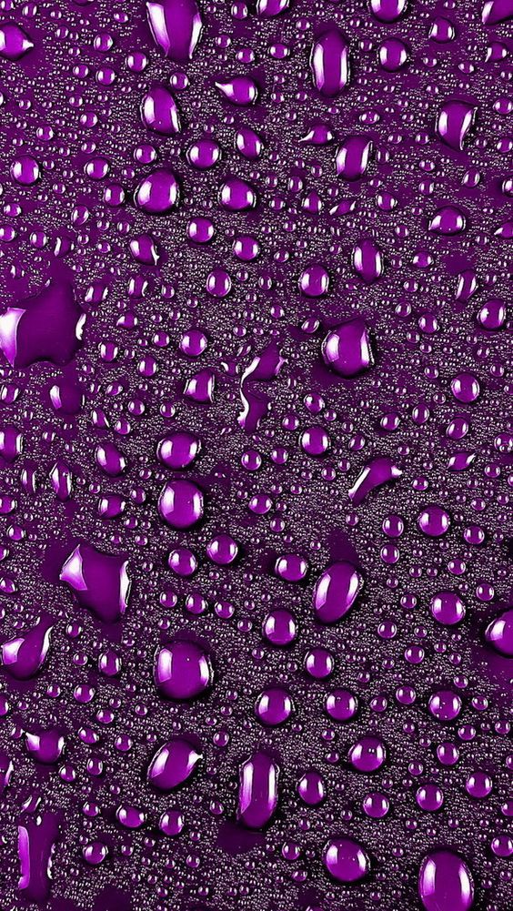 Purple Rain | Scrolller