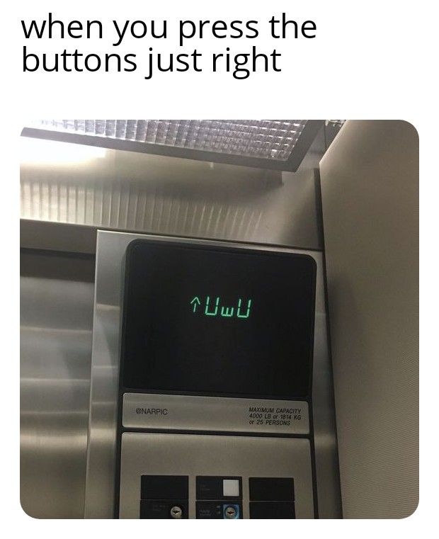 Push my buttons, senpai~~ UwU | Scrolller